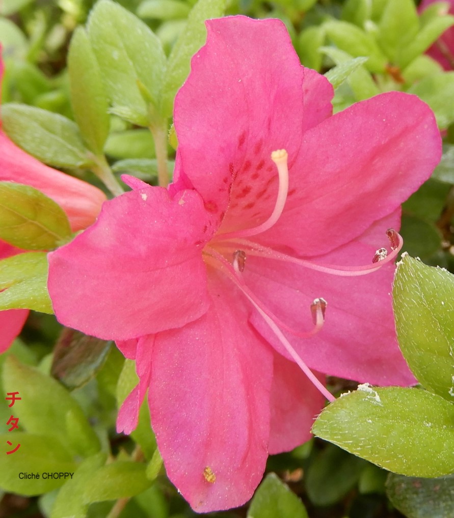 Contactez-nous – Bienvenue chez PHY+